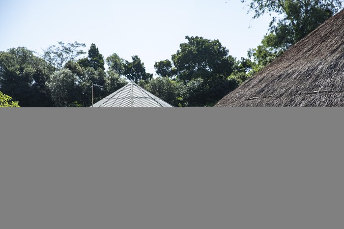 Aldeia guarani em Viamão garante subsistência com recursos do Ministério Público do Trabalho ...