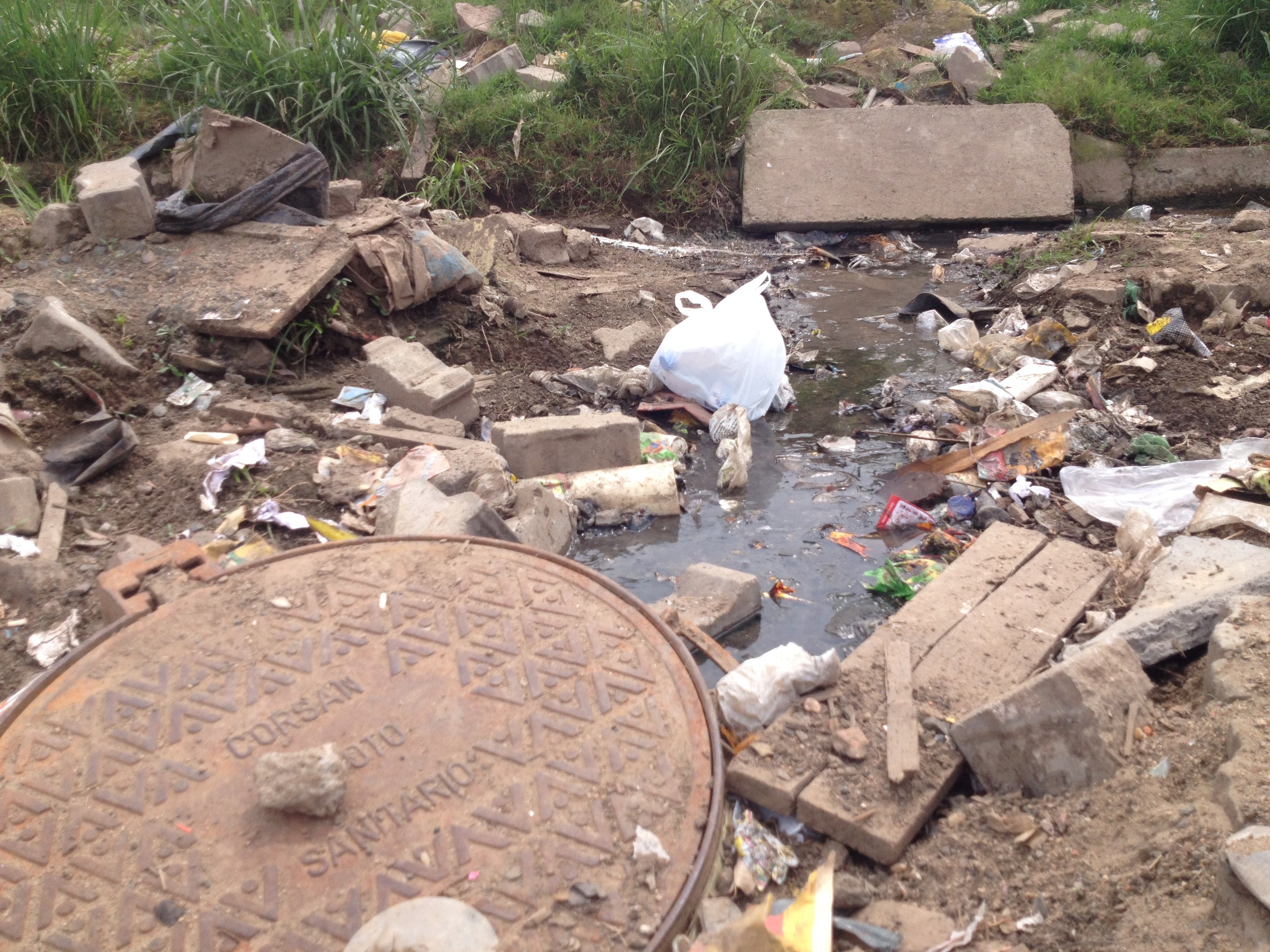 Vai mais uma taxinha aí? | GZH