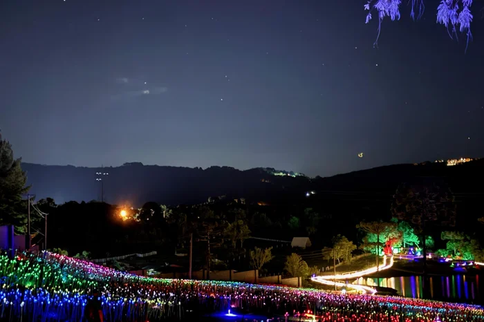 Luau das Estrelas promete ser uma noite de música e contemplação no ...
