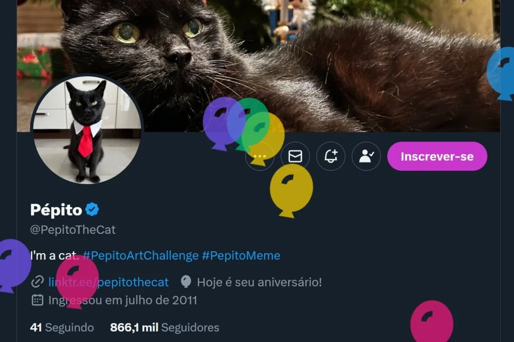 Conheça Pépito, gato francês que ficou famoso por "avisar" quando sai e ...