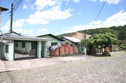 Homem flagrado enterrando vira-lata viva em Canoas é solto pela Justiça ...
