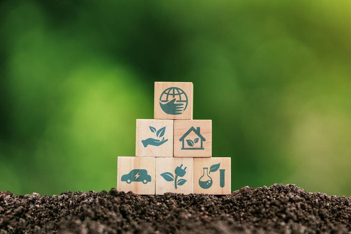 Negócios de impacto socioambiental que se sustentam cresceram 50% em ...