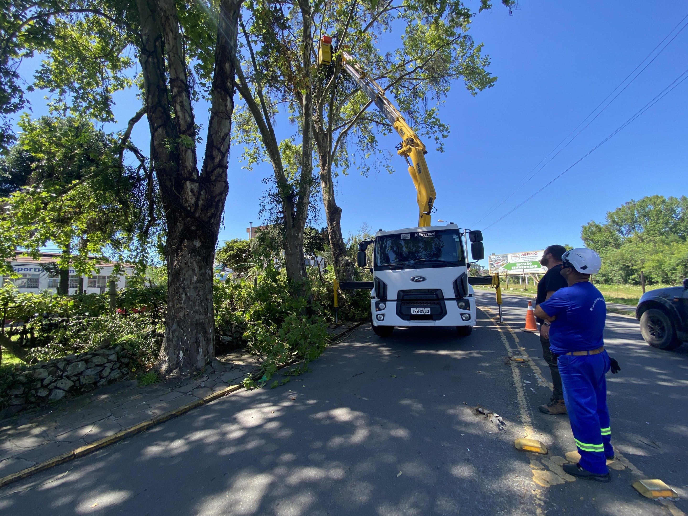 Serviços de poda de árvores e capina são intensificados para a Festa da ...