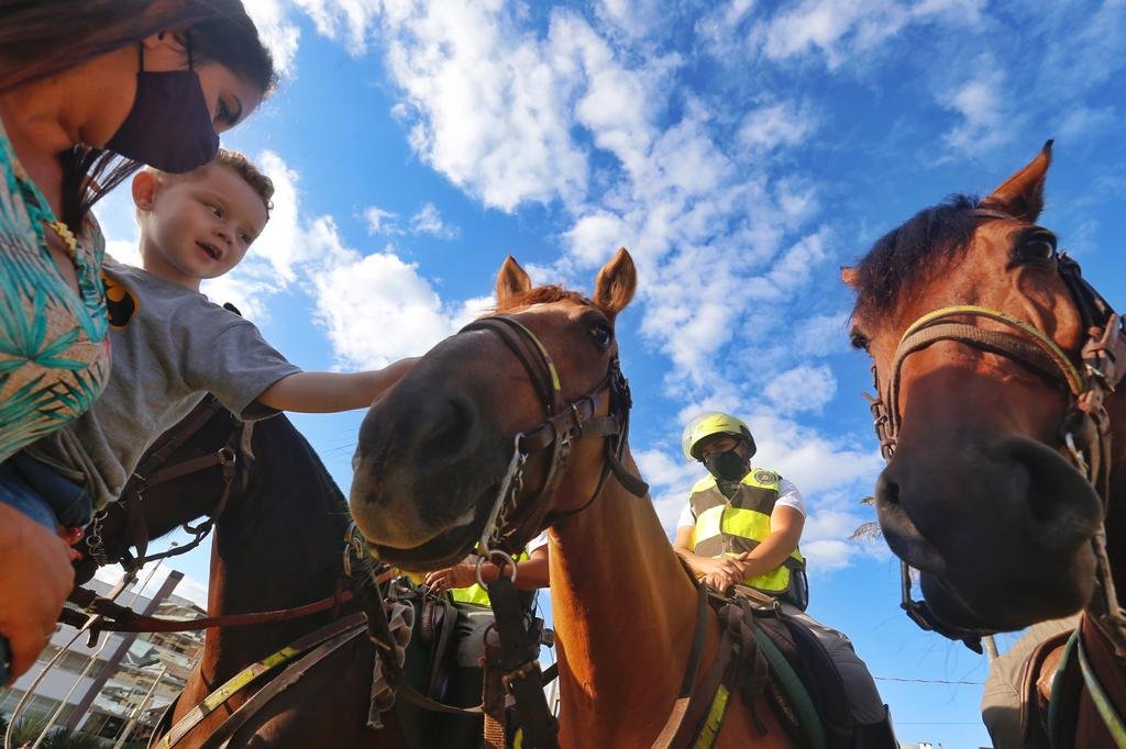 Menino com autismo se encanta com cavalos da BM em Torres, faz carinho ...