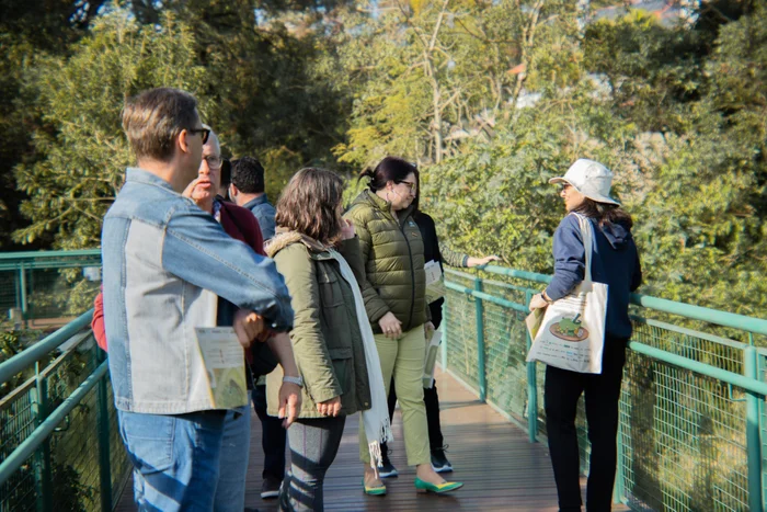 Câmara Municipal de Passo Fundo promove ações focadas no meio ambiente ...