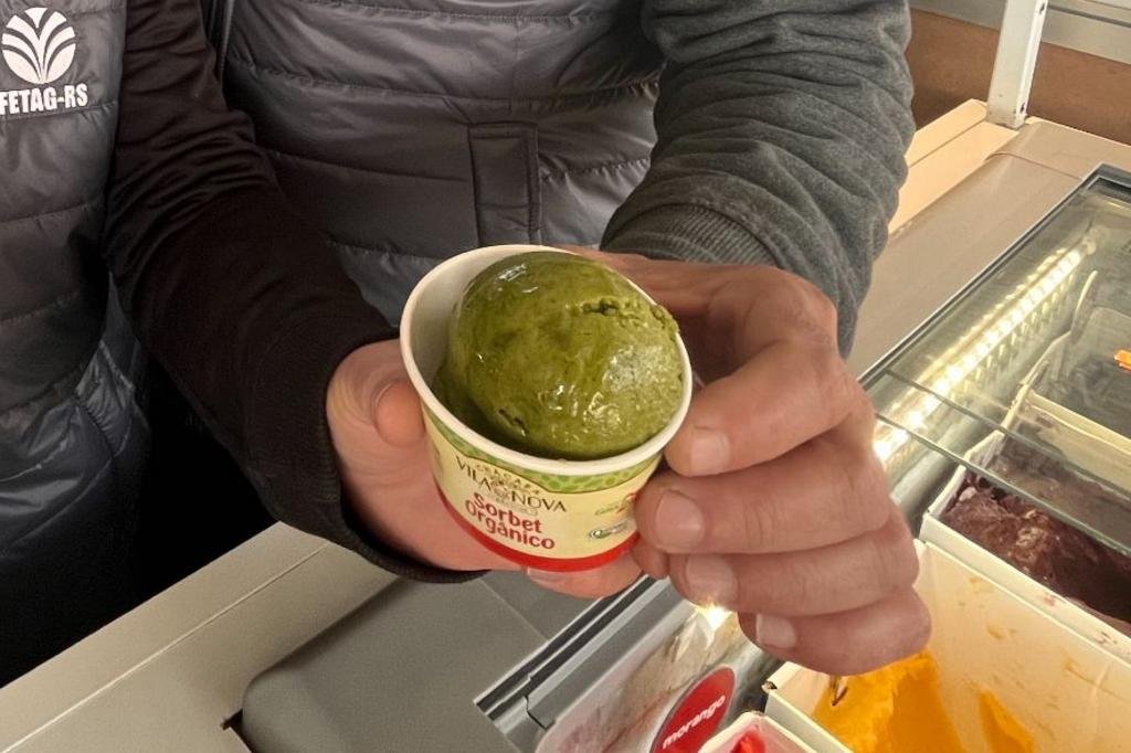De sorvete e queijo de erva-mate a bebida dos vikings: os produtos ...