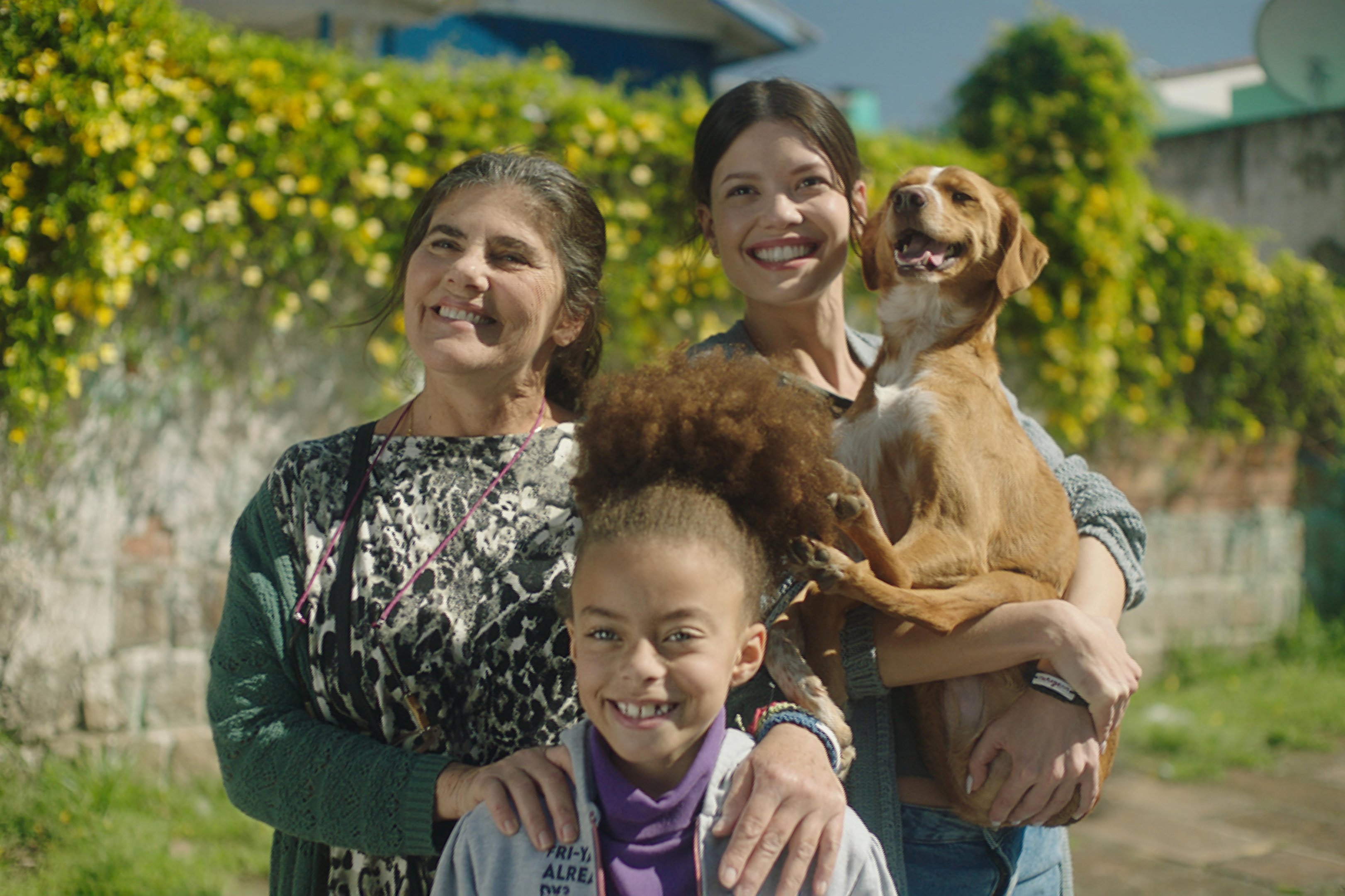 O filme sobre um cachorro resgatado da enchente que vai emocionar na ...