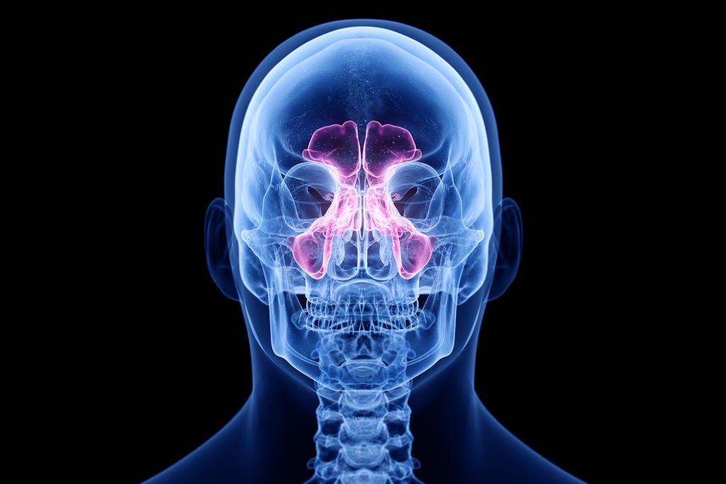 Sinusite: saiba os sintomas e tratamentos | GZH