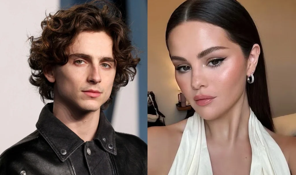 Timothée Chalamet e Selena Gomez vão estrelar nova animação juntos ...
