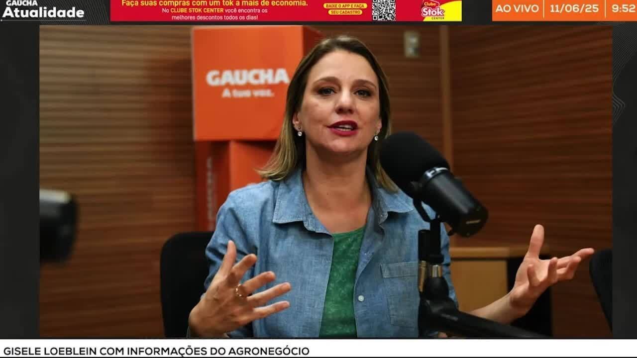Gisele Loeblein comenta o cenário atual da influenza aviária no ...