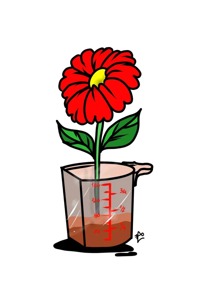 Eu vejo você | Pioneiro