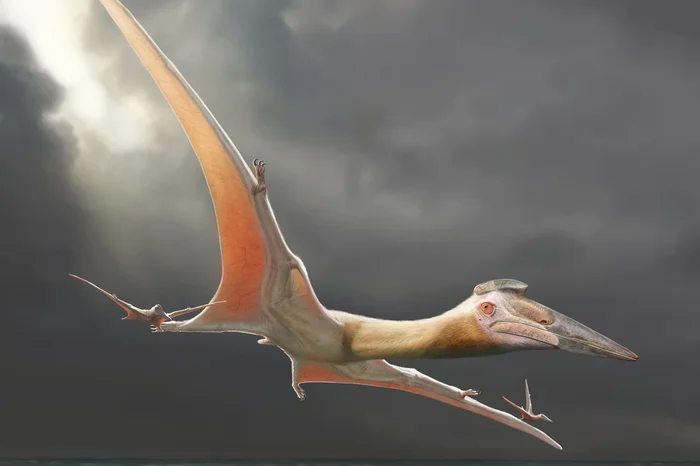 "Tamanho de um pequeno avião": pesquisador da Unipampa integra equipe ...