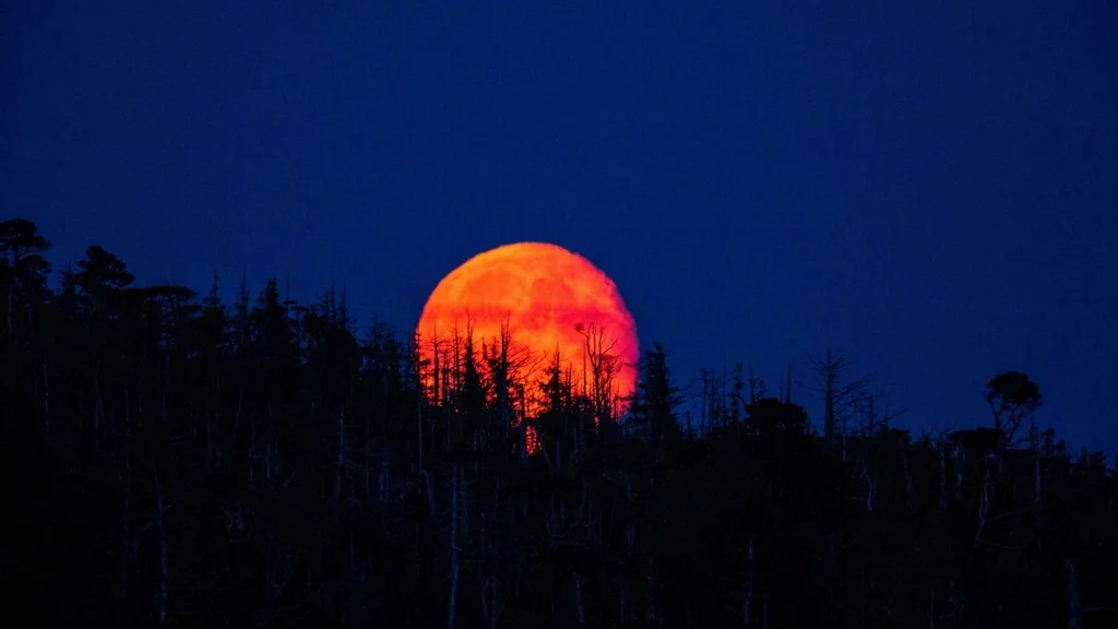 Lua de Sangue: tudo que você precisa saber sobre o primeiro eclipse ...