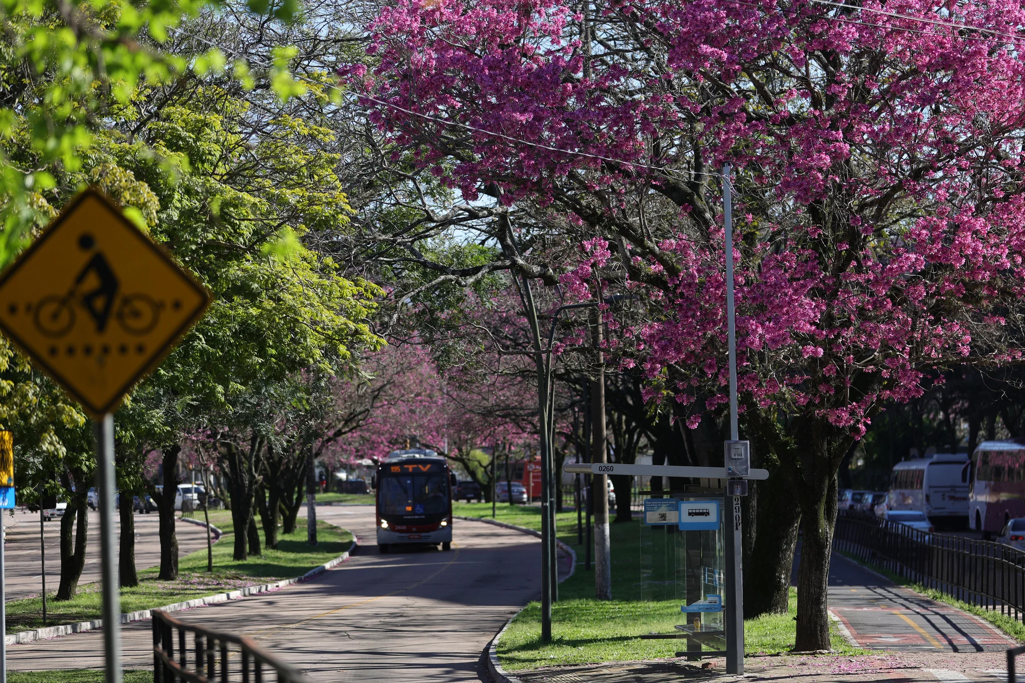Quando começa a Primavera em 2025? Veja as datas das estações do ano | DG