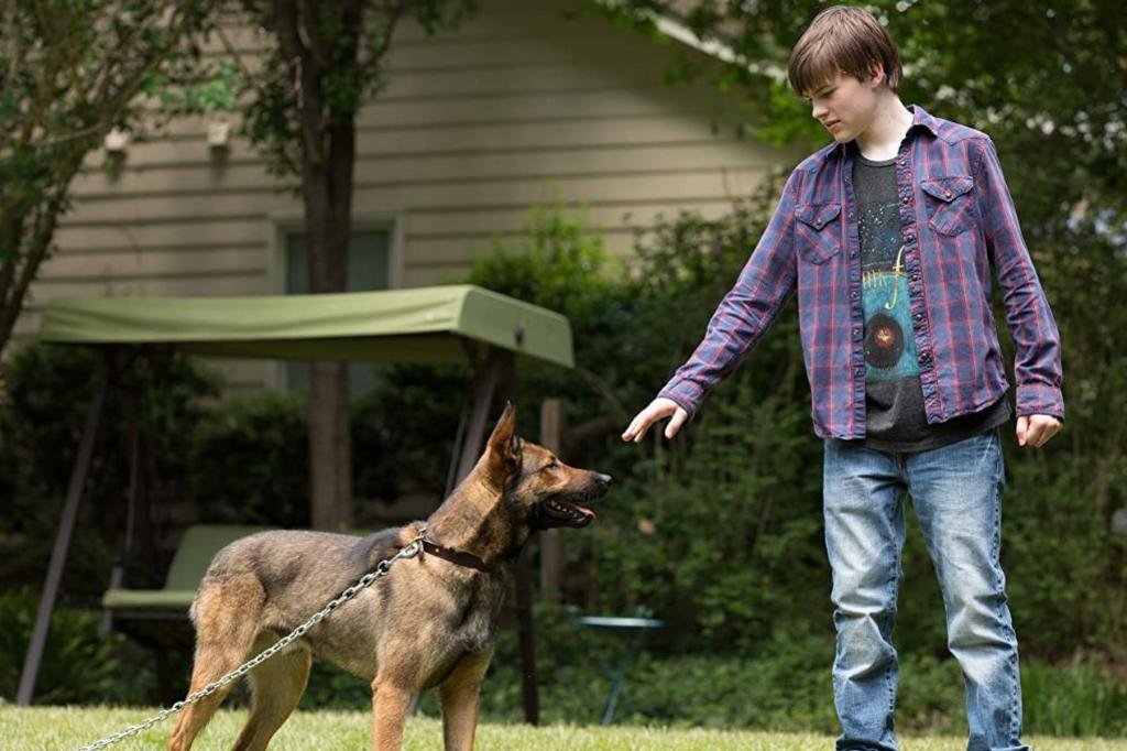 Sessão da Tarde hoje: qual o filme desta terça-feira (11)? | GZH