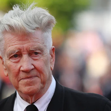 Colunas de Cláudia Laitano | GZH