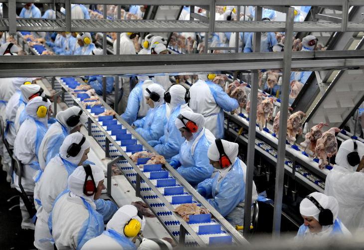Brasil conquista novo mercado para exportação de carne de frango halal ...
