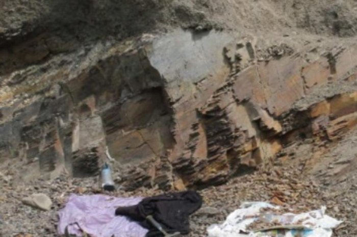 Paleontólogos encontram fósseis de animais de 462 milhões de anos ainda ...