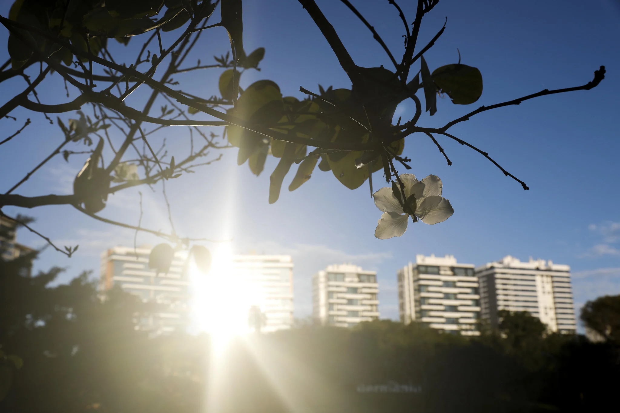 Manhã gelada, tempo estável e chance de geada: confira a previsão para ...