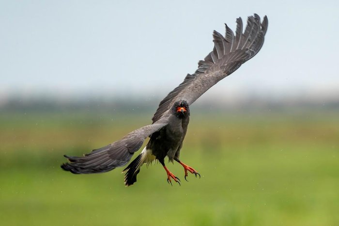 Nova mostra na Galeria Escada e mais destaques desta segunda-feira | GZH