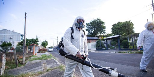 Brasil ultrapassa 500 mil casos prováveis de dengue em 2024; RS já registrou mais de 5 mil | DG