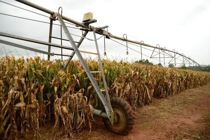 Vencida divergência ambiental, aliviar dívida rural é o próximo passo ...