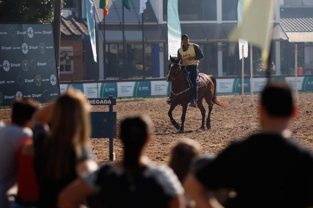 Em dia de sol e calor, Expointer 2022 é aberta com expectativa de ser a ...