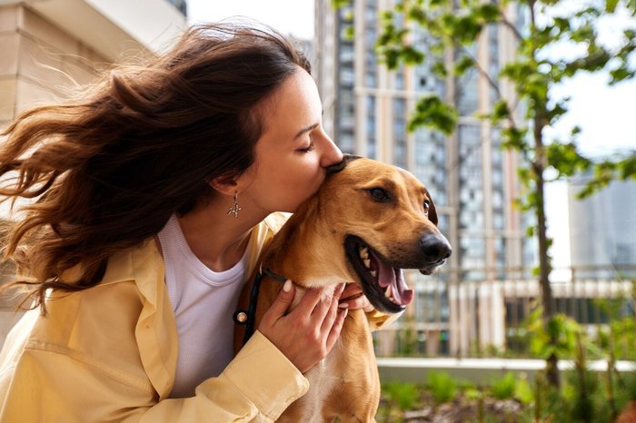 Amor de Pet: confira 5 dicas valiosas no cuidado com o seu parceiro de ...
