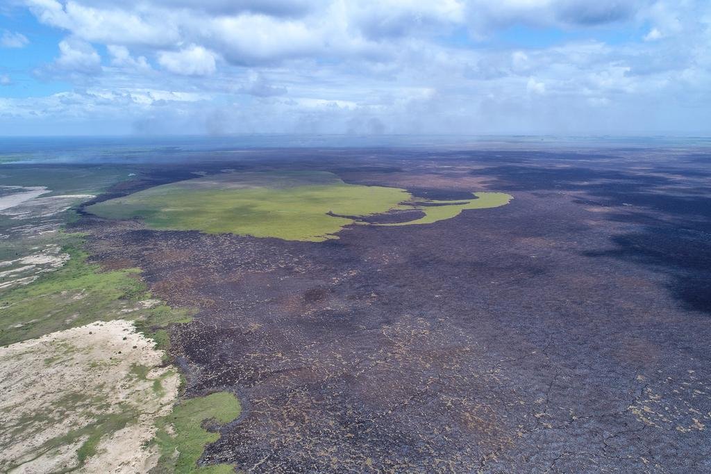 Fogo na Reserva Ecológica do Taim é controlado | GZH