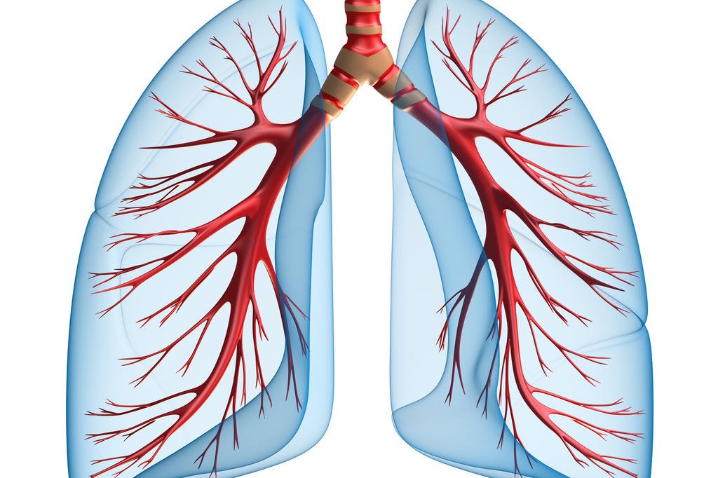 “Sensação de facada no tórax”: os sintomas da pneumonia e como ...