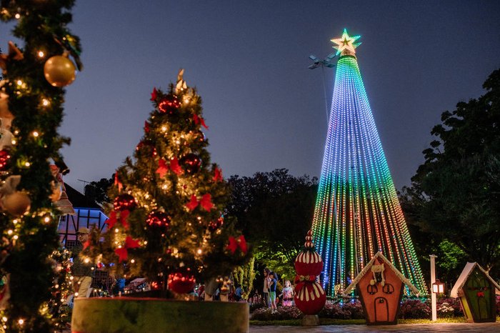 Magia Do Natal E Festival Sabores Da Colônia Em Nova Petrópolis Já