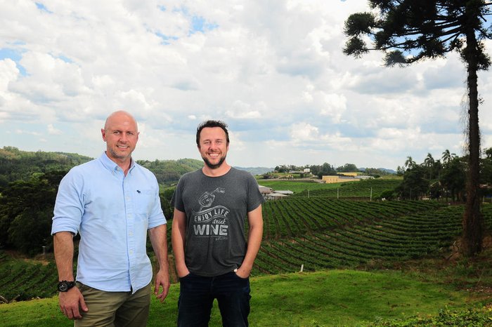 Irmãos Perini: a renovação que explora o universo por trás do vinho ...