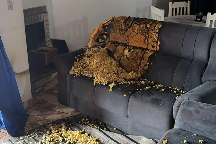Mulher tem 46% do corpo queimado após lareira artesanal explodir em ...