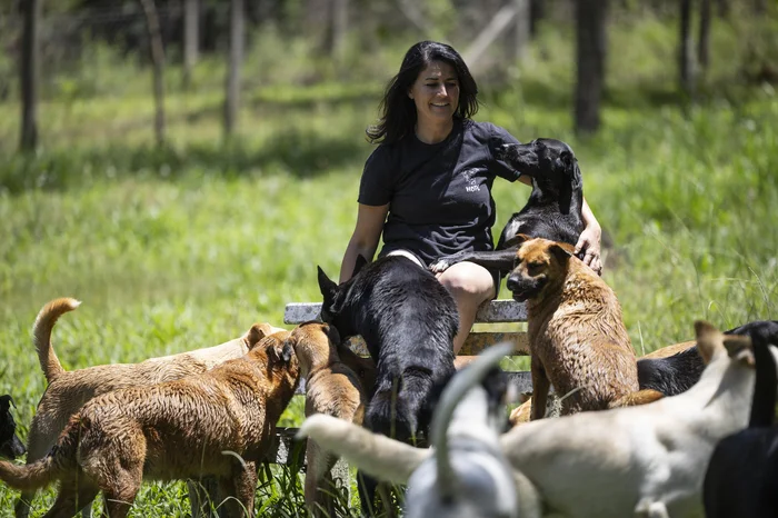 Shopping em Porto Alegre terá feira de adoção de cães da ativista Deise ...