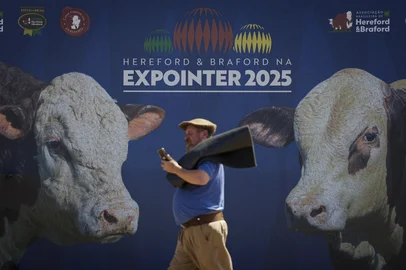 Como ir à Expointer, em Esteio: veja opções de carro ou transporte ...