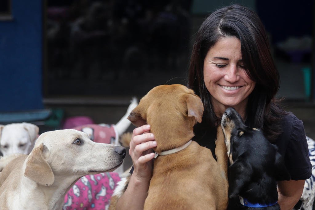 "Estou responsável por mais de mil vidas de cães e gatos", diz Deise ...
