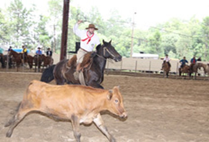 CTG Herança Gaudéria vence campeonato de laço com 100% de ...
