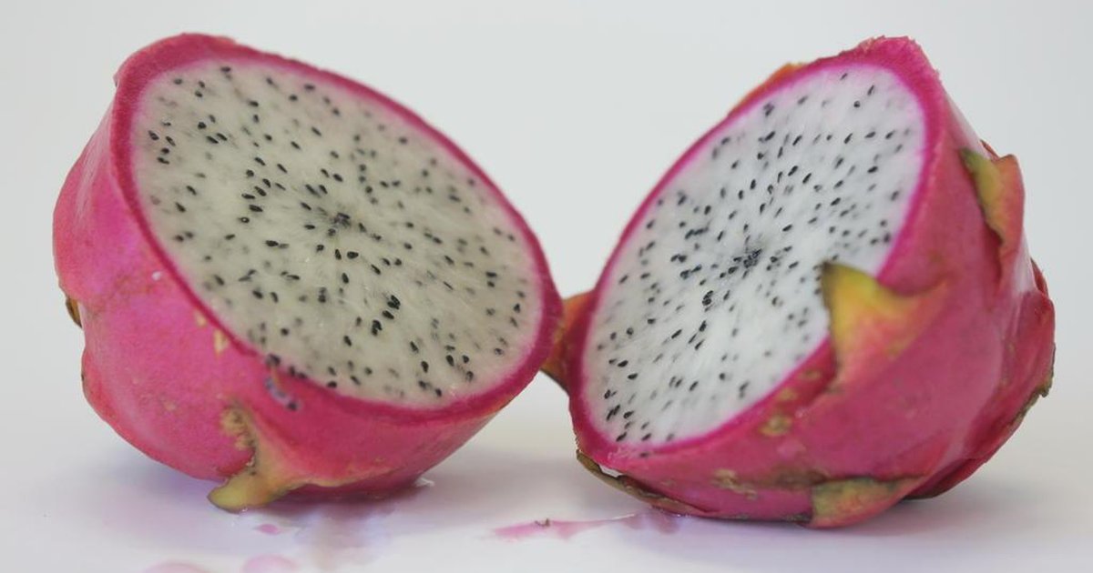 Conheça a pitaia, fruta cheia de nutrientes e com poucas calorias ...