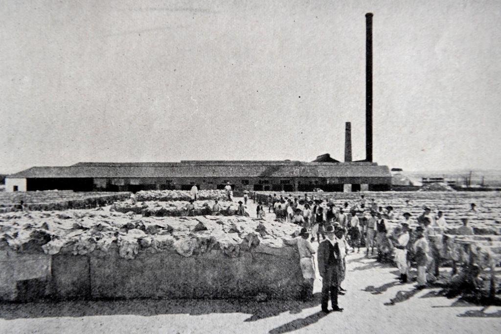 O ciclo do charque no Rio Grande do Sul | Pioneiro