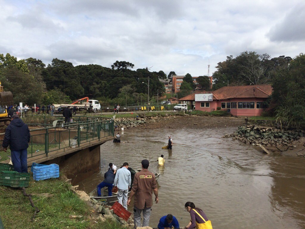 UCS pretende revitalizar entorno de lago que rompeu nesta quinta-feira | GZH