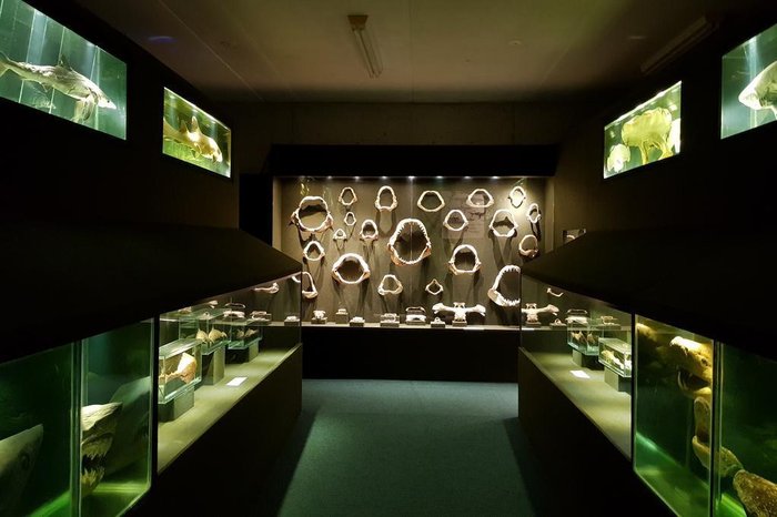 Região de Camboriú tem atrações para relaxar e se divertir | GZH