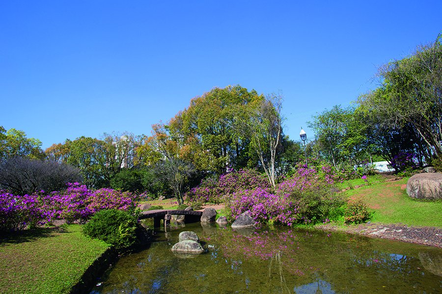 O bairro que vive intensidade e respira qualidade de vida | GZH