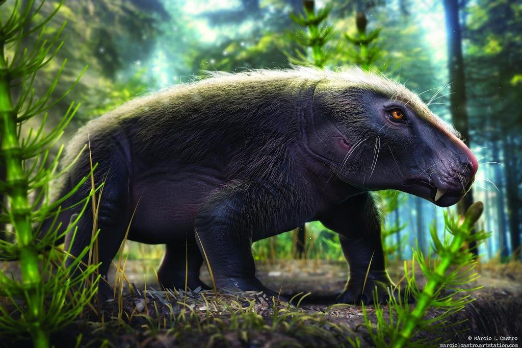 Nova espécie de cinodonte é descoberta no RS | GZH