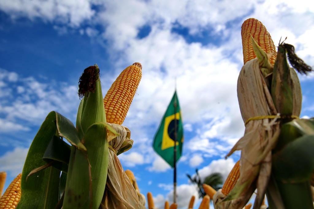 O futuro do Funrural ainda é incerto | GZH