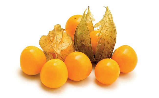 Golden berry, a proteína em forma de fruta | Donna