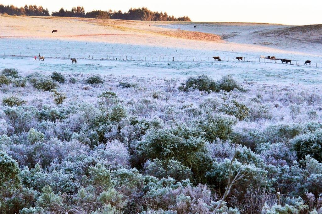 Como ocorre a formação de neve e geada? Entenda os fenômenos previstos ...