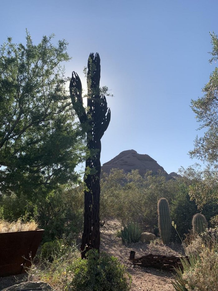 Phoenix renasce: capital do Arizona se consolida como destino turístico ...