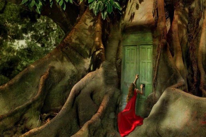 Clube do Fotógrafo de Caxias conquista primeiro lugar no Salão Nacional ...