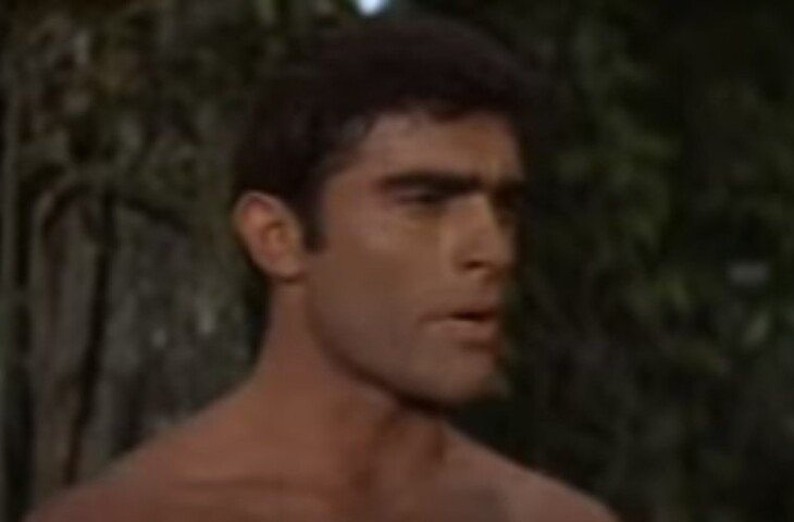 Morre Mike Henry, ator que viveu "Tarzan" na década de 1960, aos 84 ...