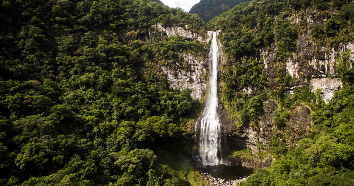 Homem é encontrado morto em cascata no Litoral Norte | GZH Homem é encontrado morto em cascata no Litoral Norte | GZH